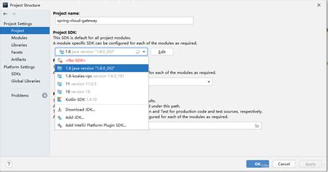 解决idea自动重置languagelevel和javacompiler版本的问题 idea 自动调compier csdn博客