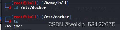 Kali Arl Kali Csdn