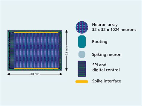 Senna Spiking Neural Network Inference Accelerator