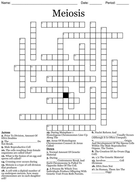 Meiosis Crossword Puzzle Answer Key Printable Pdf Template