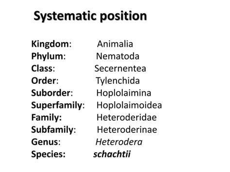 Sugarbeet Cyst Nematode Heterodera Schachtii Pptx Agriculture