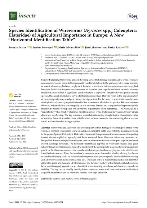 Pdf Species Identification Of Wireworms Agriotes Spp Coleoptera Elateridae Of