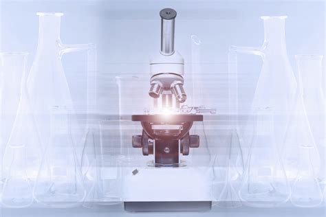 Framatome Nuclear New Build Programmes Installations