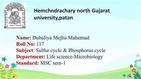 Sulphur And Phosphrus Cycle Powerpoint Presentation 2 Autosaved 3 1pptx
