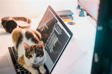 webclient 예외 처리 개념 및 원리
