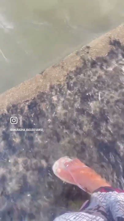 தெய்வீகராகம் தெவிட்டாத பாடல் Youtube