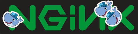 Hackerbox Io Passing Environment Variables Into A Dockerised NGINX