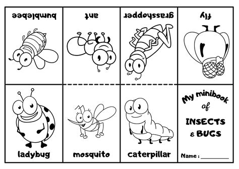 Coloring Pages Of Bugs And Insects A Fun Way To Learn About Natures