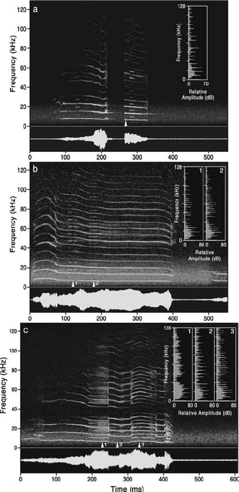 Sound Spectrograms ͑ Top Panel ͒ Waveforms ͑ Bottom Panel ͒ And Download Scientific Diagram