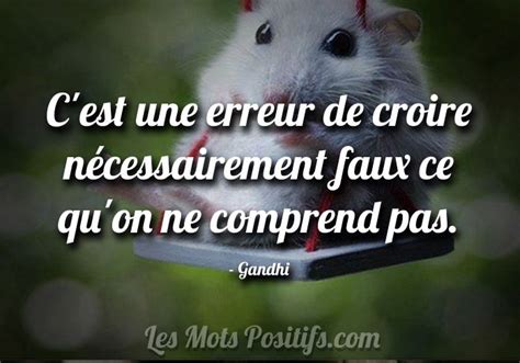 Ce quon ne comprend pas Citations célèbres Citation Gandhi