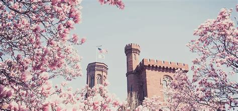 日系唯美清新文艺天空玉兰花建筑背景图片素材下载图片编号ybvaajjm 免抠素材网