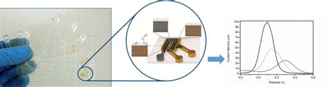 Image Of The Electrochemical Sensor With Three Electrode Configuration