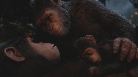 Dawn Of The Planet Of The Apes Missed The Opportunity To Show Some Weird Ape Sex R