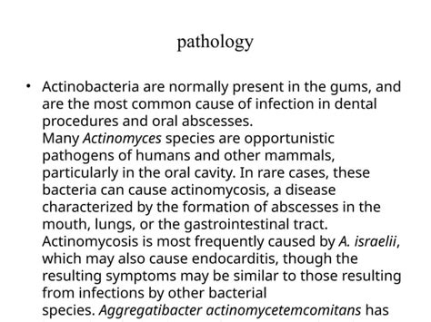Actinomycetespptxmicrobiology Pptx
