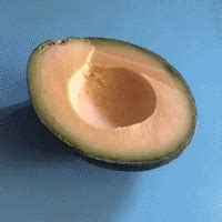 Avocado S Get The Best  On Er