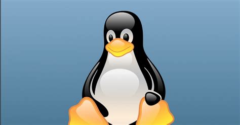 linux 常見特殊字元、特殊符號的用法 python 教學筆記本