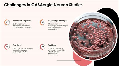 Challenges In Gabaergic Neuron Studies Ppt Sample St Ai Ss Ppt Example