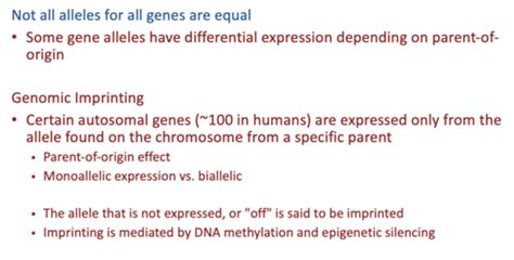 Genomic Imprinting Flashcards Quizlet