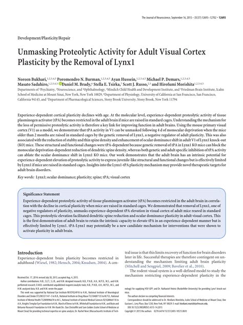 Pdf Unmasking Proteolytic Activity For Adult Visual Cortex Plasticity
