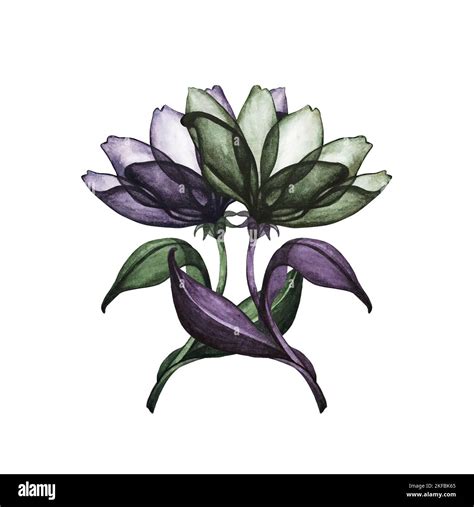 Fantasy Hand Drawn Watercolor Purple And Green Flowers For Weddings