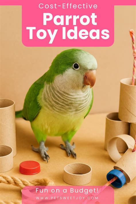 Cost Effective Parrot Toy Ideas Fun On A Budget 💰 In 2025 Parrot