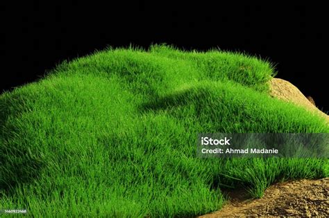 푸른 잔디 현실적인 자연 초원 디자인 등 밝은 3d 그림 렌더링 무성한 푸른 잔디 초원 배경 신선한 푸른 잔디 0명에 대한 스톡 사진 및 기타 이미지 Istock