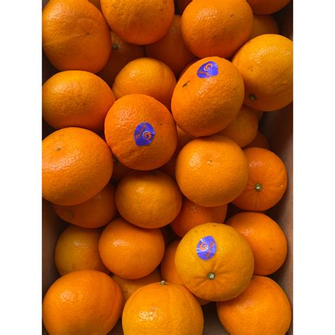 Jual Jeruk Honey Murcot Shopee Indonesia