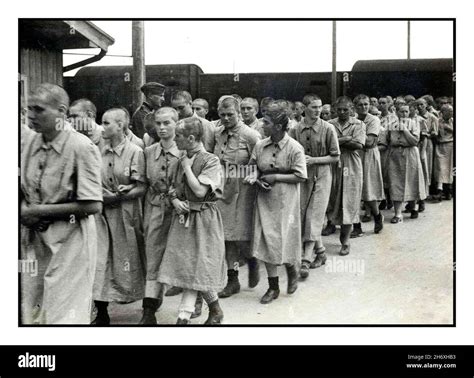 Why Are Prisoners Shaved At Linwood Morales Blog