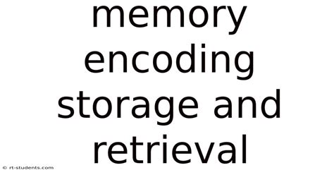 Memory Encoding Storage And Retrieval