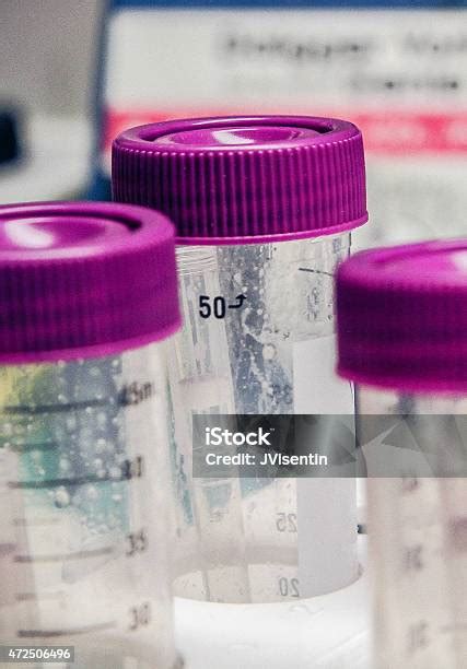 50ml Centrifuge Tabung Untuk Penelitian Ilmiah Foto Stok Unduh Gambar