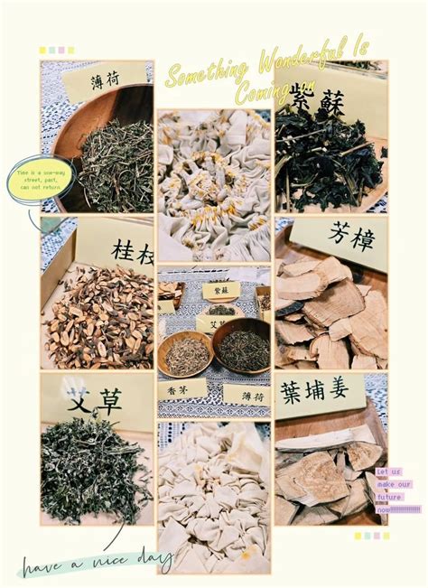 分享 柿子染糖果抱枕 手作板 Dcard