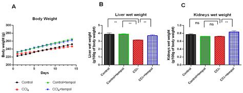Liver Antioxidant Function At Mari Moore Blog
