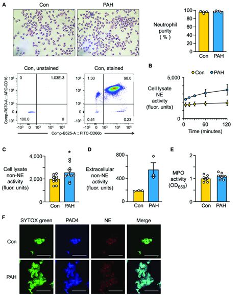 Figure E1 Purity Of Neutrophils Assessment Of Ne Activity With Time Download Scientific
