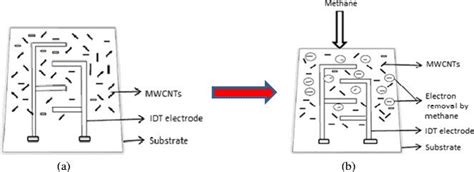 Schematic Of Methane Detection By Mwcnt Chemoresistive Sensor A