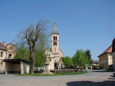 Hackel Josef Botanycz