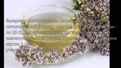Настойка валерианы рецепты применения и лечения - YouTube