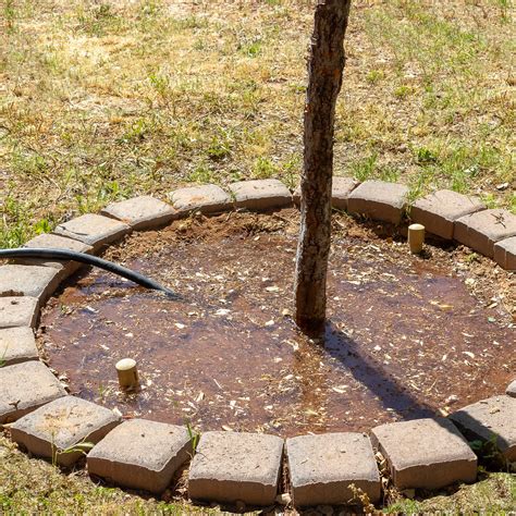 Inch DEEP DRIP Watering Stake Pack DEEP DRIP Watering Stakes