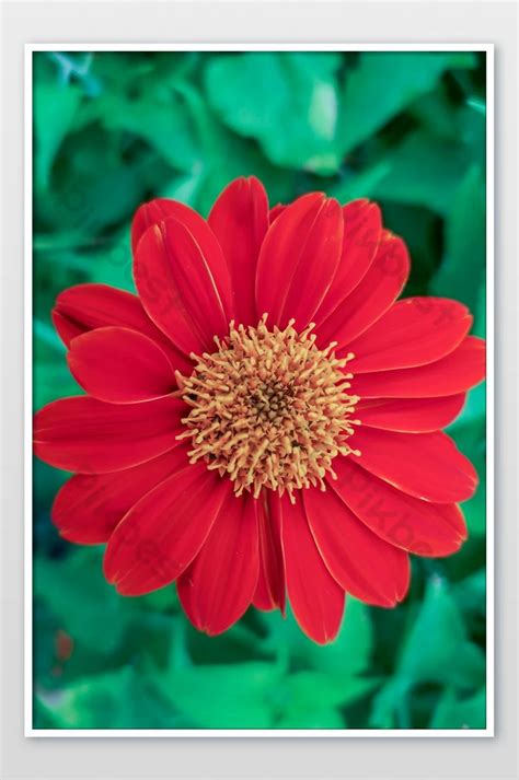 12000 Age Selection Images Age Selection Stock Design Images Free Download Pikbest