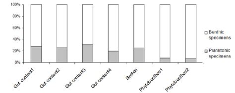 The Ratio Of The Total Number Of Benthic And Planktonic Diatoms In The Download Scientific