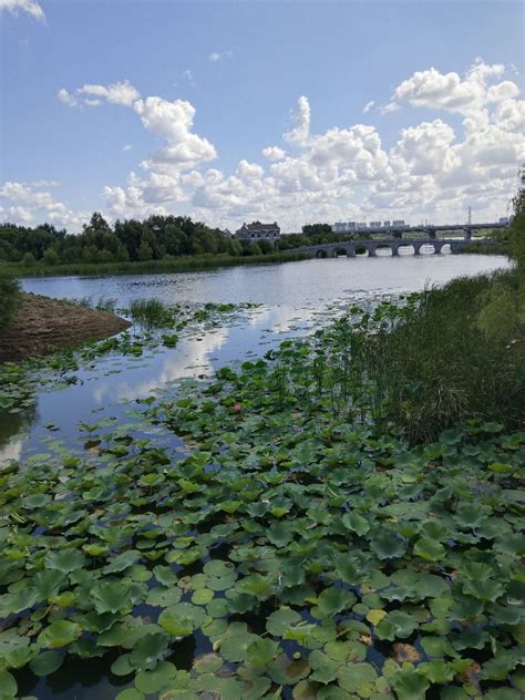 2024长春北湖湿地公园游玩攻略 每处景点各有特色，主路每段 【去哪儿攻略】