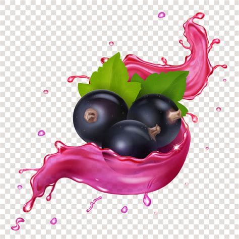 3 000点を超えるカシスのイラスト素材、ロイヤリティフリーのベクター素材グラフィックスとクリップアート Istock