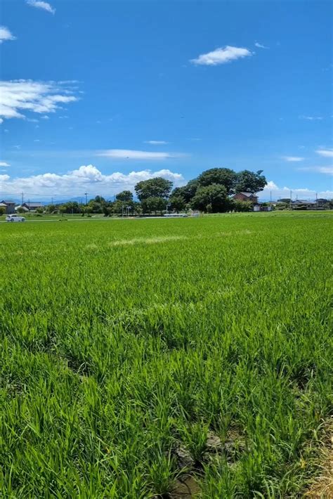 群馬に帰ってきた😊 青と緑のパノラマ写真の3分割