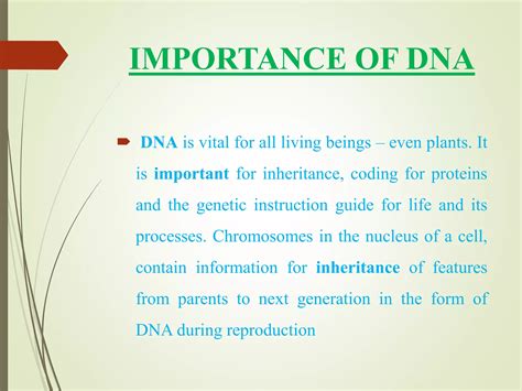 Dna Replication Ppt