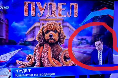 АКО НЕ СТЕ ГЛЕДАЛИ ТВ „ПРОСТОИДИОТ“ ПУСНЕТЕ СИ … СВЕТЛЮ „ПУДЕЛА“ БАУ
