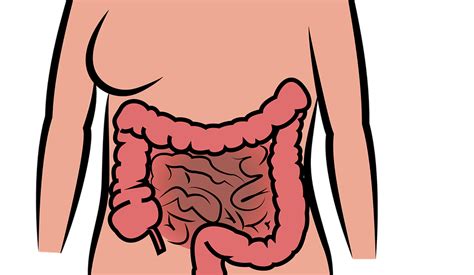 Constipation What Is It Remedies And Recommendations Winning Naturals