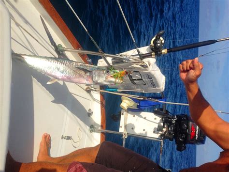 The Mona Passage Where The Coconuts Grow