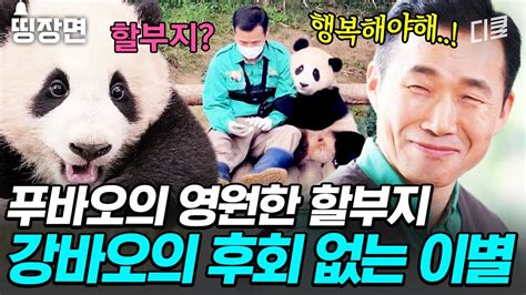 유퀴즈온더블럭 할아버지 가슴속에도 네가 영원할 거야 판다 할아버지 강철원 사육사가 알려주는 푸바오의 모든 것 가족
