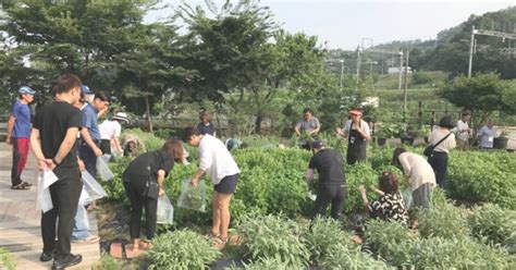 귀농 막연한 기대 없애야직접 만지고 느끼는 귀농체험