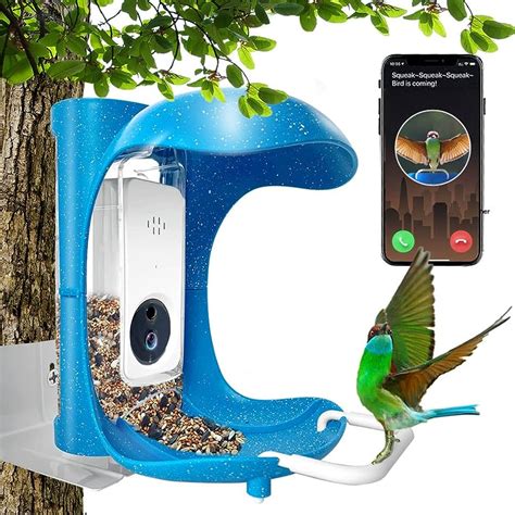 Bird Feeder Cameras A Closer Look At Birds In Your Garden Nature