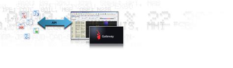 Application Programming Interface API Highlights Interactive Brokers LLC